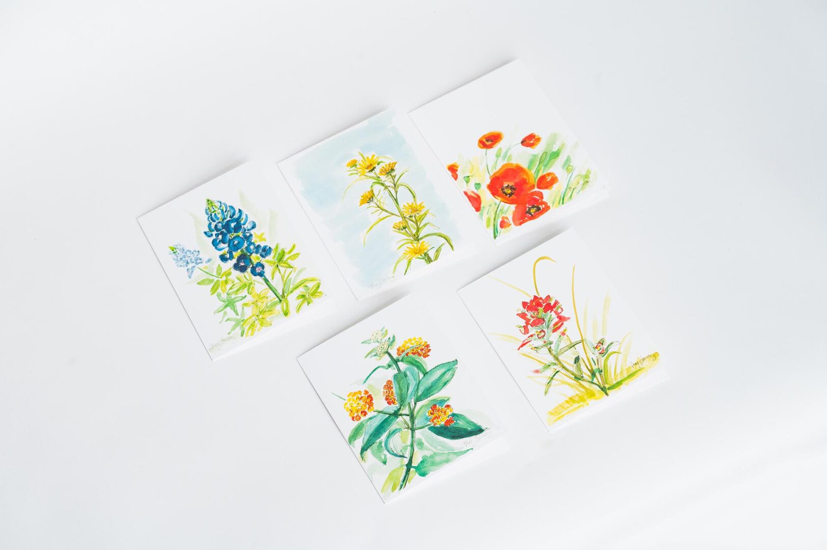 Flowers Water Coloring Postcards - CSI Printing